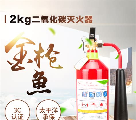 Mt Kg