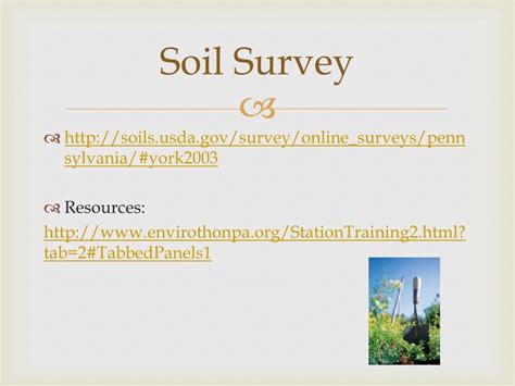 PPT Soil PowerPoint Presentation Free Download ID