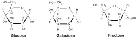 31 Enzyme Protocol Biology Libretexts