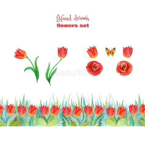 Fondo Floral Decorativo Diversas Flores Rojas Y Rosadas Brillantes