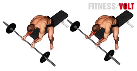 Dumbbell Wrist Curls