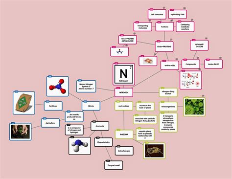 Orange Day School Secondary Science 3rd Year Biology Nitrogen