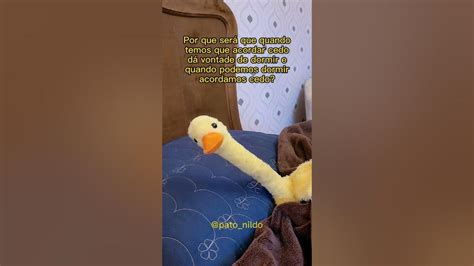 Irineu Você Não Sabe Nem Eu Youtube