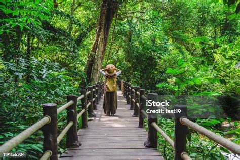 다리에서 걷고 맹그로브 숲을 통해 관광을 즐기는 소녀 복 코라니 자연 트레일보다 폭포 크라비 휴식 여행 배낭 자연 관광 시골 관광객에 대한 스톡 사진 및 기타 이미지