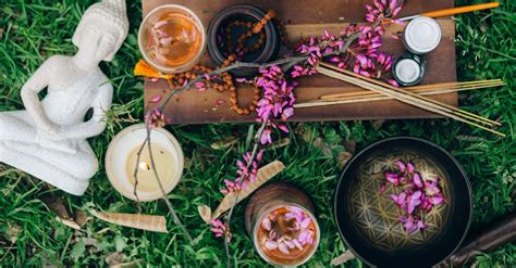 집 밖의 건강한 검은 삶이 중요하다 검은색 고요한 고요함 곱슬거리는 공원 균형 꽃 꽃이 피는 꽃잎 나무 녹색 다국적 다른 다인종의 라이프