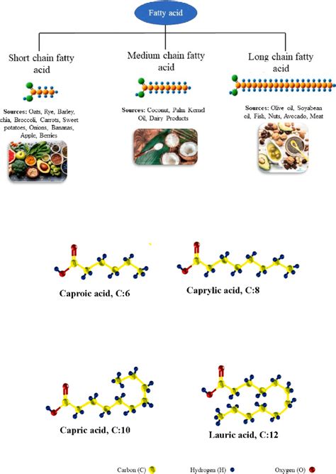 Fatty Acid Examples