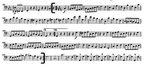 Double Bass Beethoven Symphony No5 Mvt 3 Mm 141 177 Orchestra