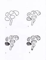 How To Draw The Human Brain Art Sphere Inc