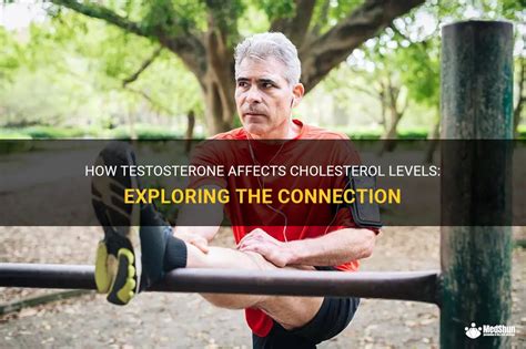 How Testosterone Affects Cholesterol Levels Exploring The Connection
