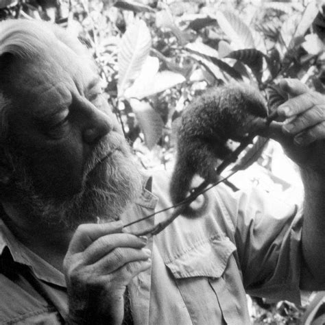 ⭐️ Share Your Memories Of Gerald Durrell With Us ⭐️ 💚 Wed Love To