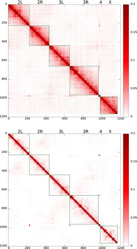 Top Panel Experimental Hi C Map For TADTAD Contact Probabilities In