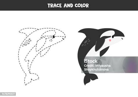 추적 및 컬러 만화 귀여운 만화 범고래 어린이를위한 워크 시트 검은색에 대한 스톡 벡터 아트 및 기타 이미지 검은색 겨울 고등학교 이하 Istock