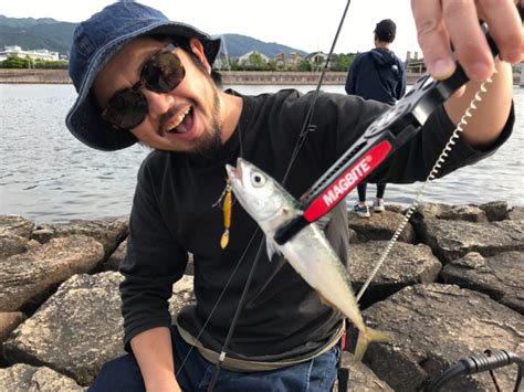 超リアル ルアーでも！サビキでも！サバ好調♪南芦屋浜 フィッシングマックス 関西の釣果大阪･神戸･和歌山の釣果情報