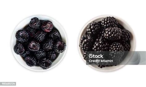 블랙베리 텍스트 복사 공간 그릇에 흰색 배경에 고립 익 고 맛 있는 검은 베리 검은색 라즈베리에 대한 스톡 사진 및 기타 이미지 검은색 라즈베리 흰색 배경 0명