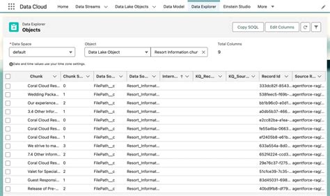Exercise 1 Ingest Unstructured Data Salesforce Developers