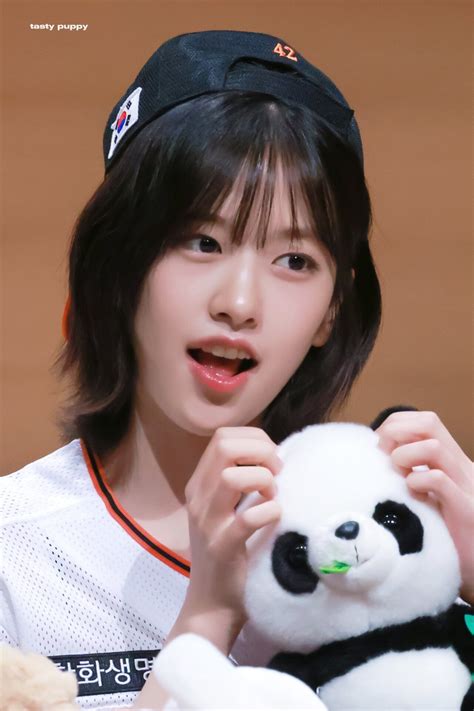 대전의 안유진 야구 에펨코리아
