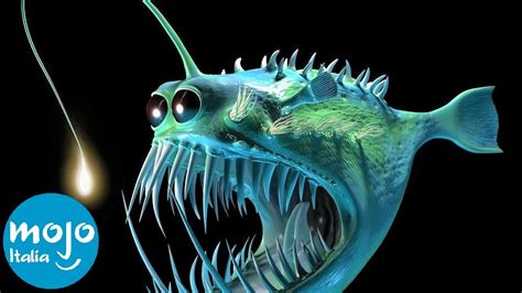 Top 10 CREATURE più MISTERIOSE degli ABISSI MARINI YouTube