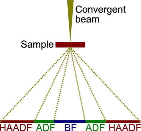 7 Schematic Of Detectors In Stem Download Scientific Diagram