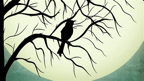 To Kill A Mockingbird Wallpapers Top Free To Kill A Mockingbird