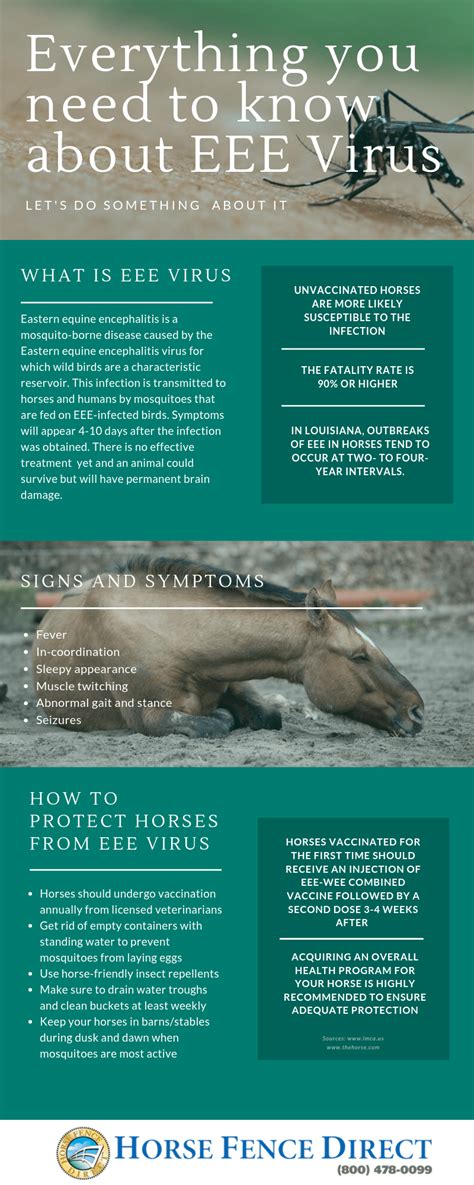 The Triple E Sickness Everything You Need To Know About Eee Infographic