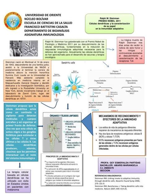 INFOGRAFIA INMUNOLOGIA Mariangela Amaris UDocz