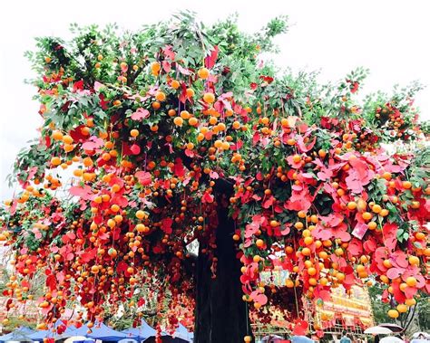 Lam Tsuen Wishing Tree All You Need To Know Before You Go 2025