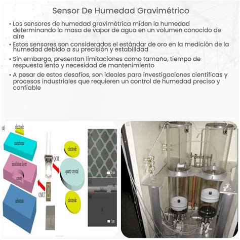 Sensor De Humedad Gravimétrico How It Works Application And Advantages