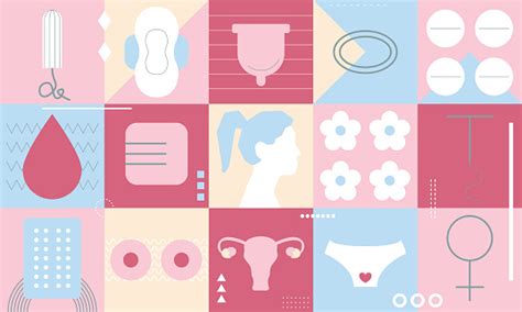 기간 일수 여성 위생 제품 월경주기 및 생리 용품 패드 생리컵 탐폰과 피 월경 흐름 여성의 신체 건강 관리 벡터 일러스트 레이 션 자궁에 대한 스톡 벡터 아트 및 기타