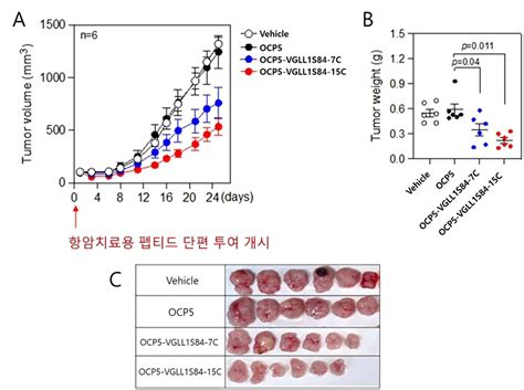 세포 투과 펩티드 암 치료용 펩티드 및 이를 포함하는 암 예방 또는 치료용 약학적 조성물 보유기술 Kribb 바이오기술장터