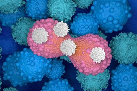 Newly Discovered Tumor Immune Evasion Mechanism Could Significantly