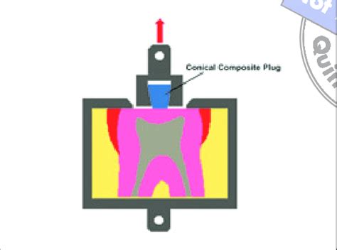 Left Schematic Drawing Of The Push Out Test Download Scientific