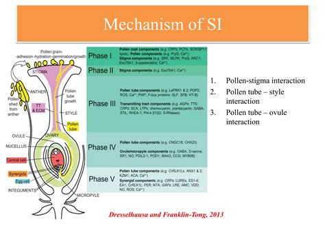 Self Incompatibility Final Pptx