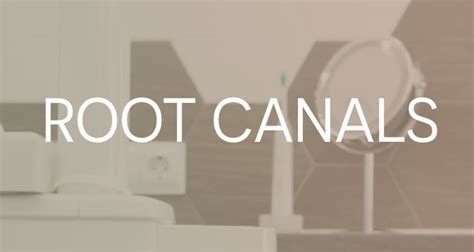 Tooth Trouble Root Canal Versus Tooth Extraction