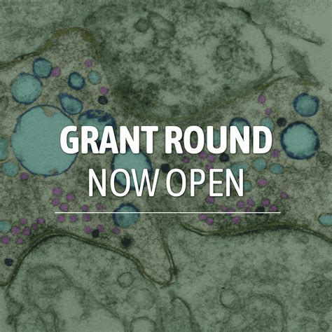 The Epilepsy Research Institutes Inaugural Grant Round Now Open