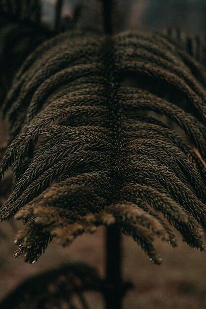 Premium Photo Cinematic Photo Of Leaf