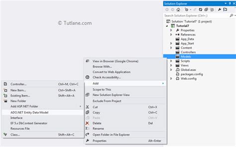 CRUD Operations Using ADO Net Entity Framework In Asp Net MVC Example Tutlane
