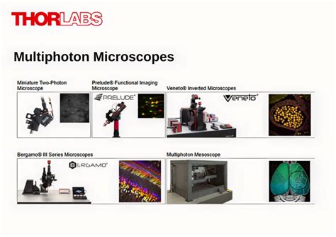 Multiphoton Microscopes Two And Three Photon Imaging Systems At Best