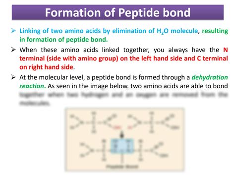 SOLUTION: Amino acids structure classification and properties - Studypool