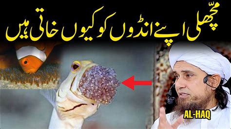 Machhli Apne Andon Ko Kyon Khati Hai Mufti Tariq Masood Sahab By