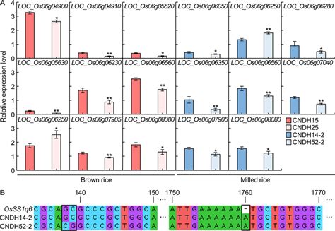 Analysis Of The Relative Expression Level Of 20 Candidate Genes Related