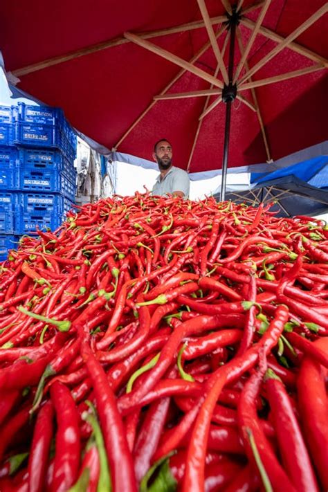 건강식품 고추 고추 더미 길거리 음식 노점 노점상 녹색 줄기 농산물 농산물 시장 농업 다채로운 음식 뜨거운 고추 레드 칠리 페퍼스 레드 칠리스 매운
