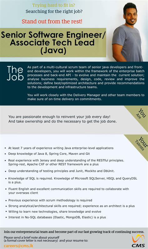 senior software engineer associate tech lead java