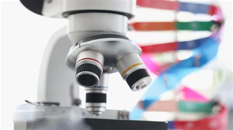 Genetic Testing For Hereditary Gynaecological Cancers What You Need To