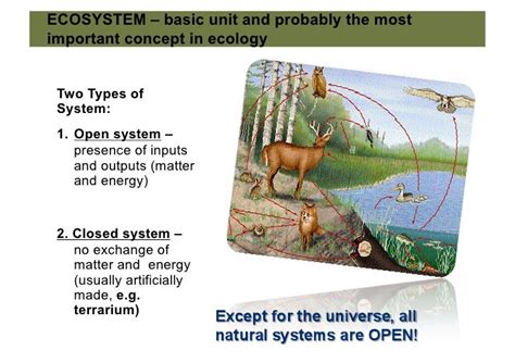 Lecture 1 Ns 5 Ecology And Ecosystem Concepts 2010