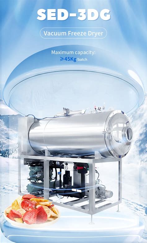 Lab Scale Vacuum Freeze Dryer Milk Powder Lyophilizer Freeze Drying