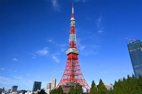 ただいま東京プラスの予約はいつから最大16000円オフになる方法は Yoki Travel