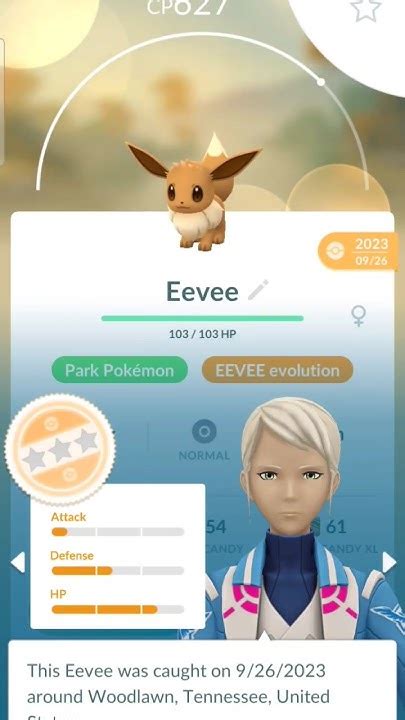 Pokemon Go Full View Of Eevee Evolution Forms Youtube