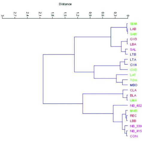 Cluster Analysis Aggregative Method Wards Algorithm Not Constrained