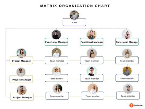 Guide To Ideal Project Management Organizational Structure