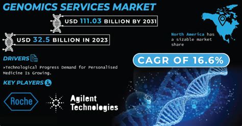 Genomics Services Market Size Industry Share And Growth 2031